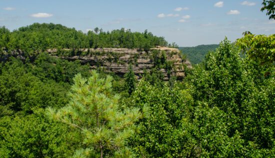 Daniel Boone National Forest - Amazing America