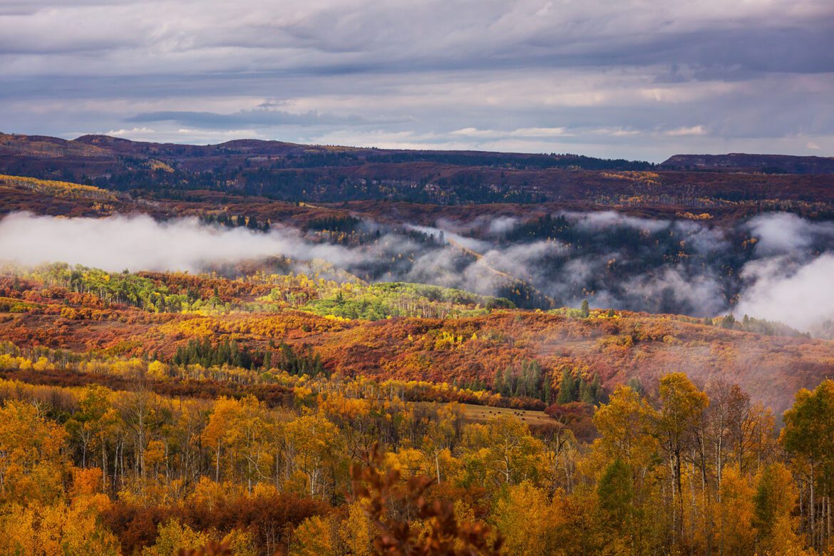 The Best Fall Foliage Hikes in Colorado - Amazing America