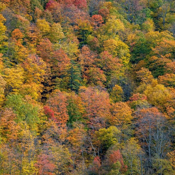 From Vegas to Tahoe - Route 395 Is the Ultimate California Road Trip ...