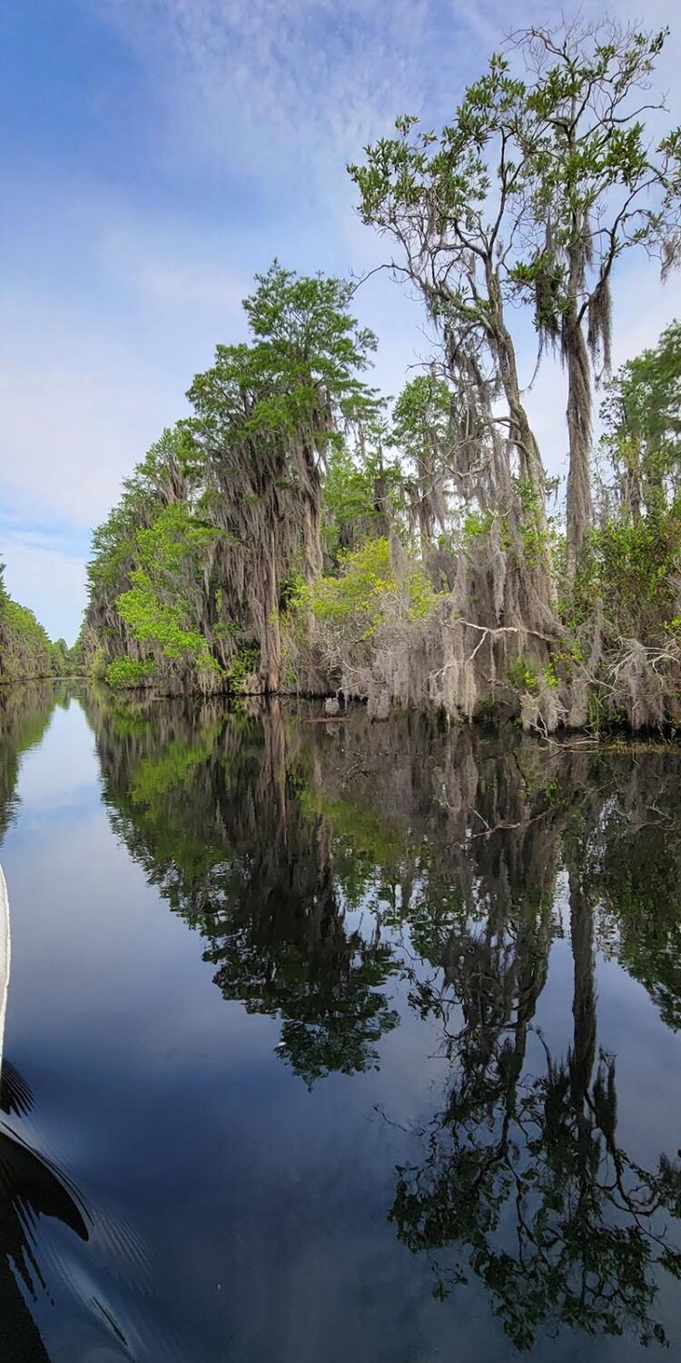 Underrated Southern Getaway: The Georgia Coast - Amazing America